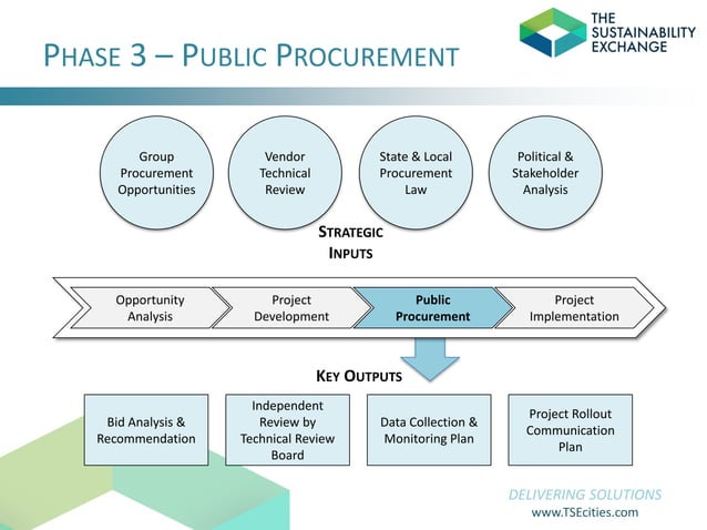 TSE Process Model | PPT