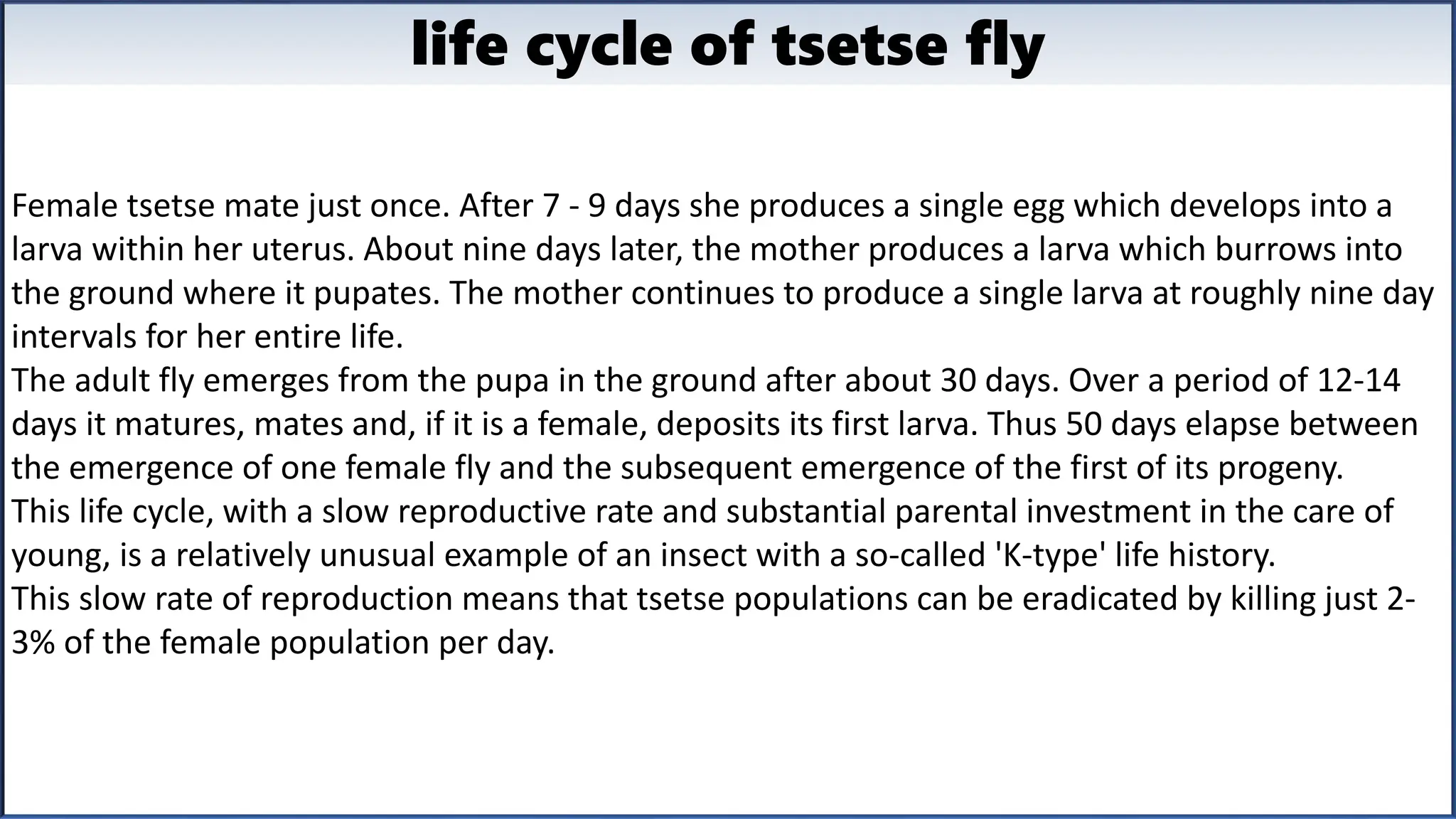 TSE TSE infection TSE TSE infection .pptx