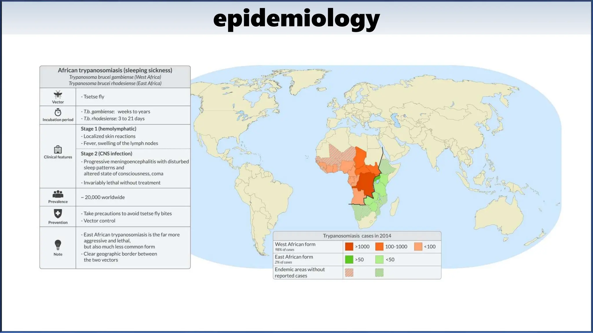 TSE TSE infection TSE TSE infection .pptx