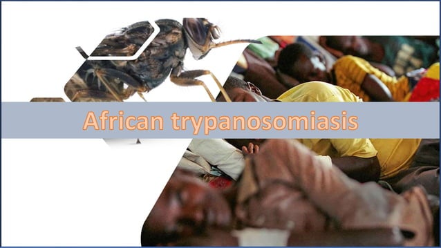 TSE TSE infection TSE TSE infection .pptx