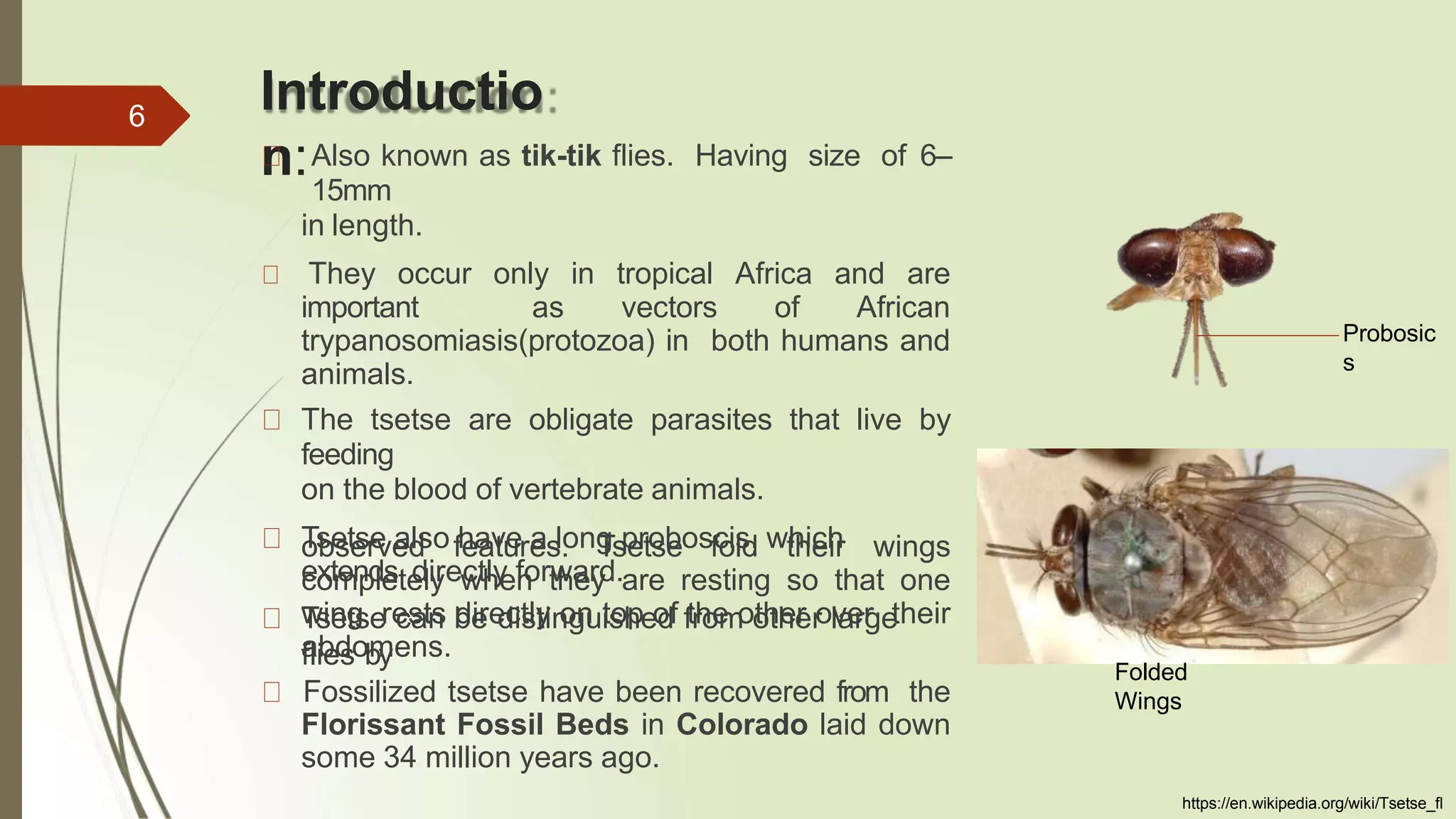 tsetseflies-180123133607.pptx