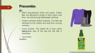 tsetseflies-180123133607.pptx