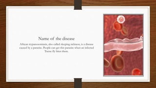 Tsetse flies (Flies) Muscidae.pptx