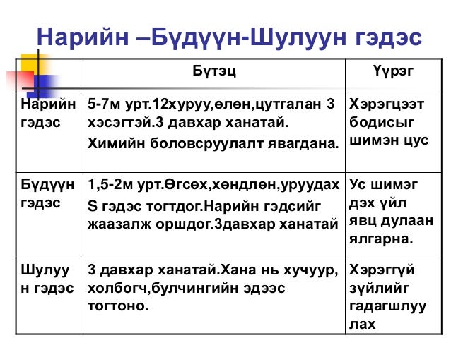 Хоол боловсруулах тогтолцоо