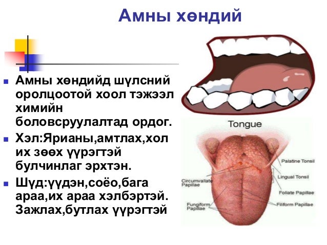Хоол боловсруулах тогтолцоо