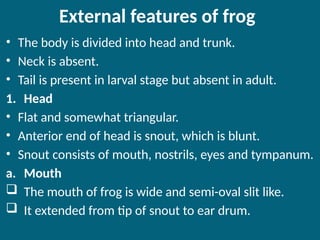 1._Frog_Intro..frog the posion of frog kingdom animalia | PPTX