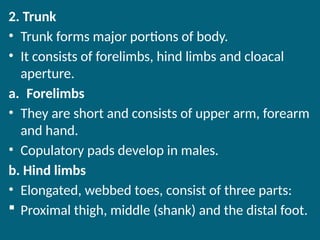 1._Frog_Intro..frog the posion of frog kingdom animalia | PPT