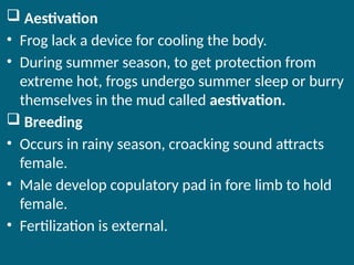 1._Frog_Intro..frog the posion of frog kingdom animalia | PPT