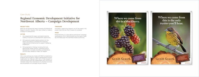 tSG Brochure Samples Lo-Res | PDF