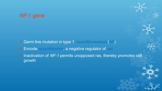 Tumor Suppressor Gene | PPT