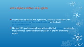 Tumor Suppressor Gene | PPT