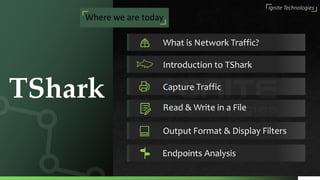 Tshark pen testing, very good insight of the pent test | PDF