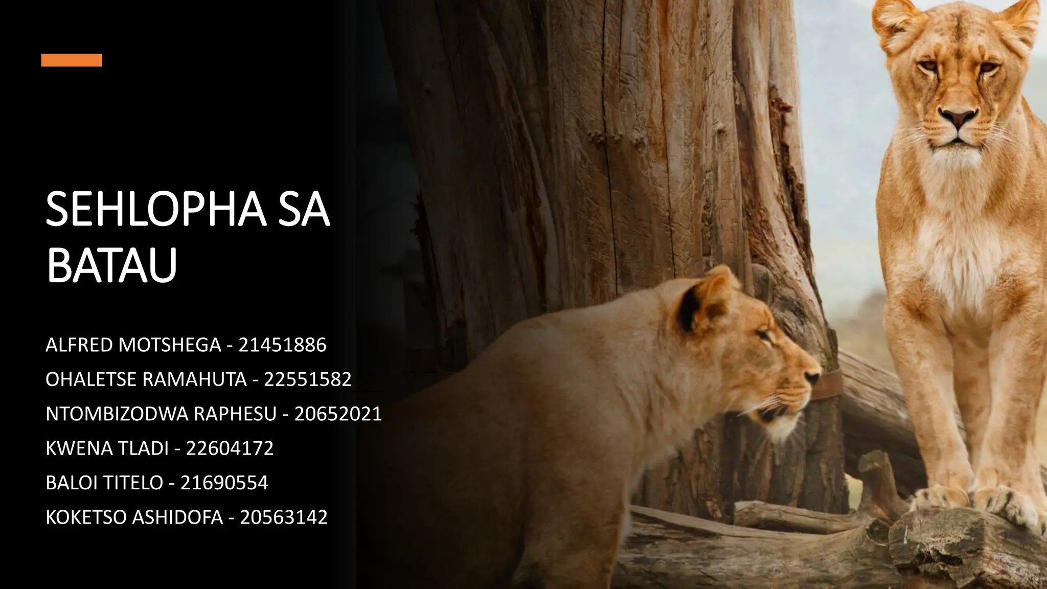 tshekatsheko ya baanegwa-2[402].pptx