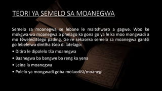 tshekatsheko ya baanegwa-2[402].pptx