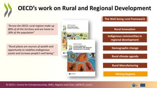 OECD TSI EU mining regions presentation.pdf