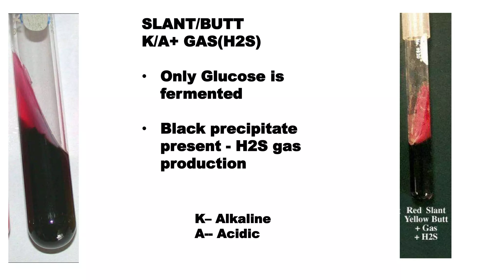 Tsi media & it's interpretation | PDF