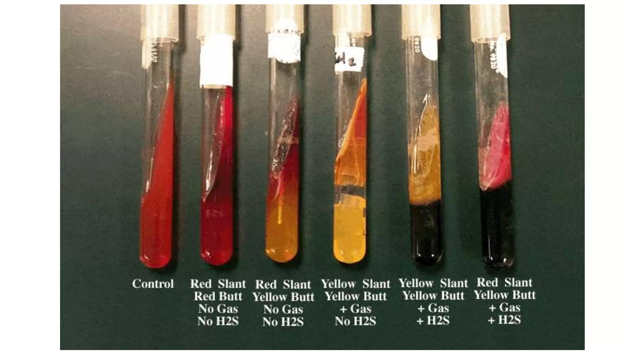 Tsi media & it's interpretation | PDF
