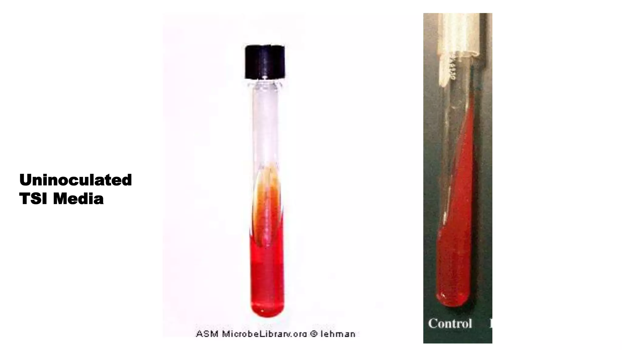 Tsi media & it's interpretation | PDF