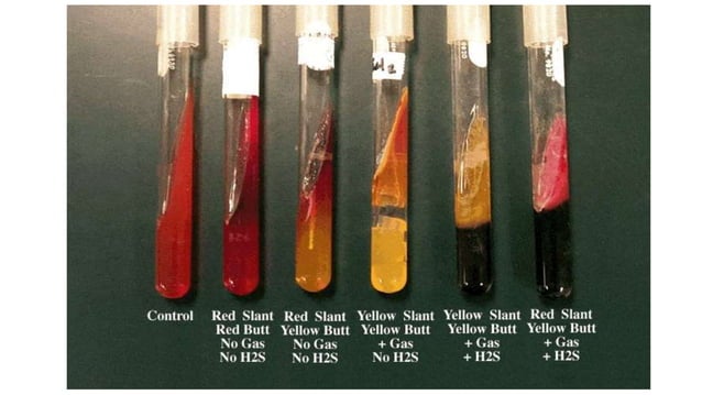 Tsi media & it's interpretation | PDF