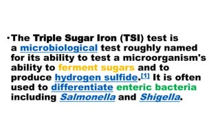 Tsi media & it's interpretation | PDF