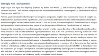 Tsi media & it's interpretation | PDF