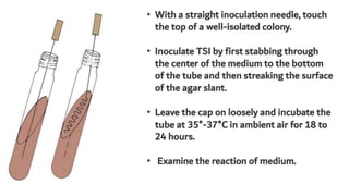 Tsi media & it's interpretation | PDF