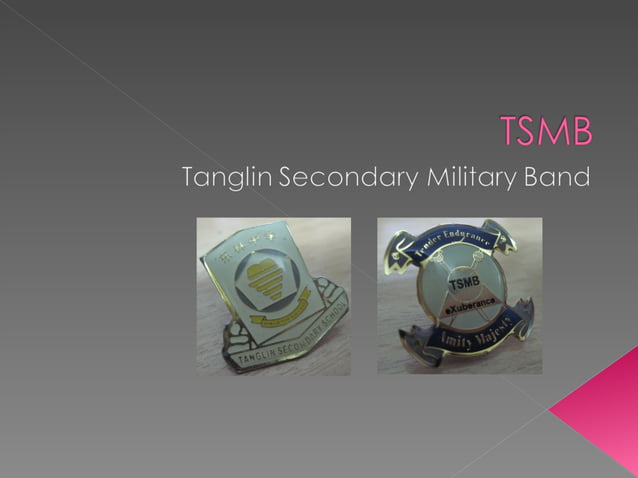 1n2 tss Tsmb | PPT