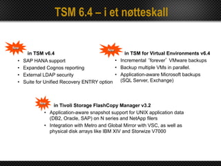 TSM 6.4.1 intro | PDF