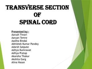 TS of Spinal Cord physiology mbbs 1st year.pptx