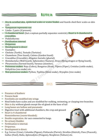 Animal_Kingdom_Shobhit_Nirwan.pdf class 11th biology | PDF