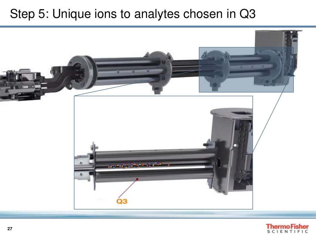 Triple Quadrupole Gas Chromatography-Mass Spectrometry/Mass Spectrome…