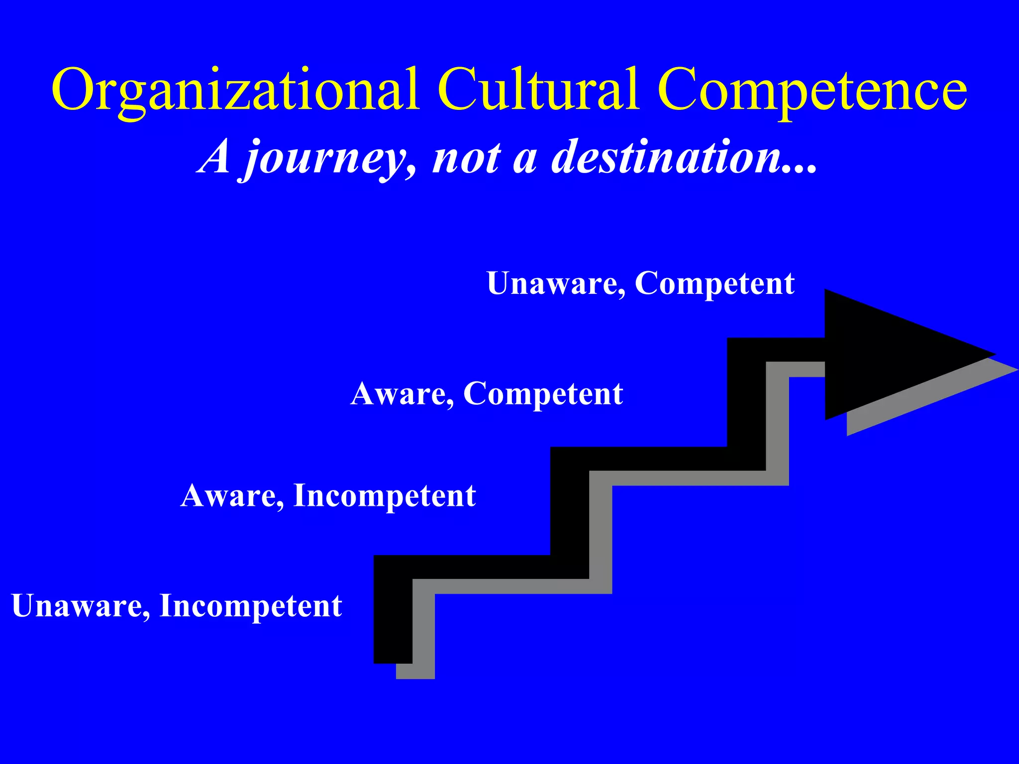 Cultural Competence in Healthcare (Rue, 2002) | PPT