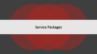 TSS - App Penetration Testing Services | PPSX | Computer Software and ...