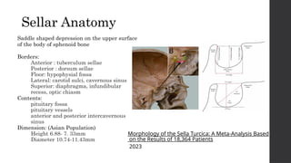 TSS .pptxTSSTSS Transnasal endoscopic surgery | PPTX
