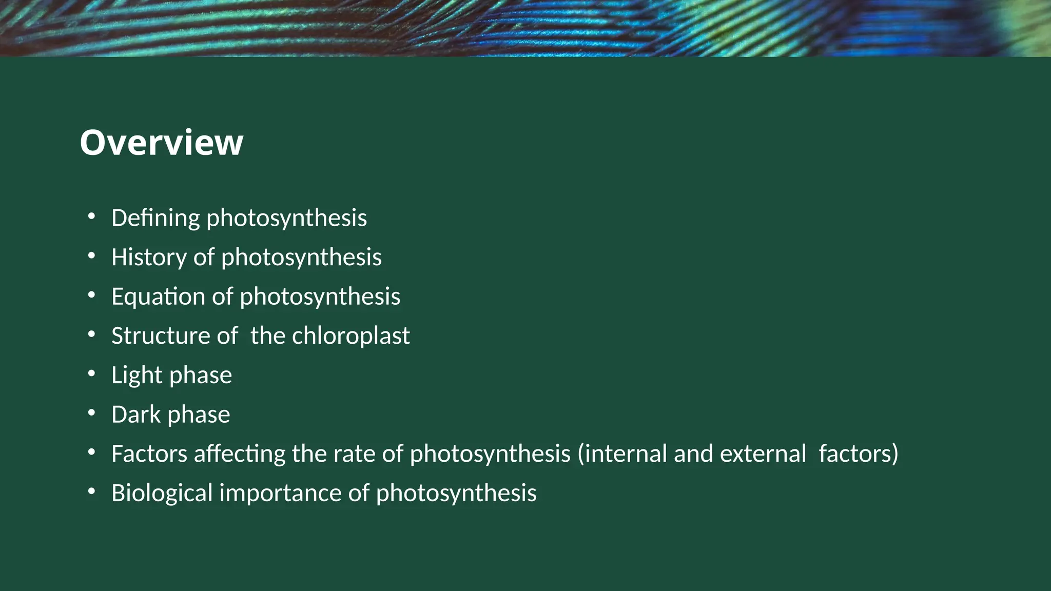 Photosynthesis (light and dark phase). pptx | PPTX