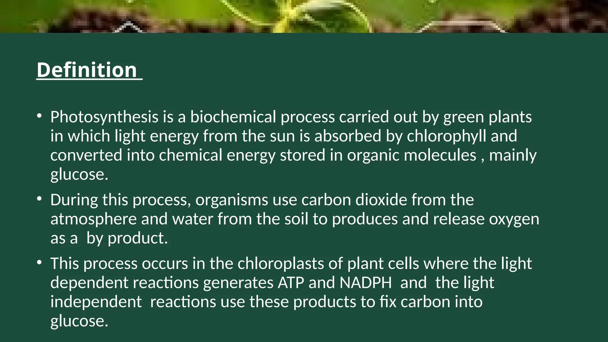 Photosynthesis (light and dark phase). pptx | PPTX