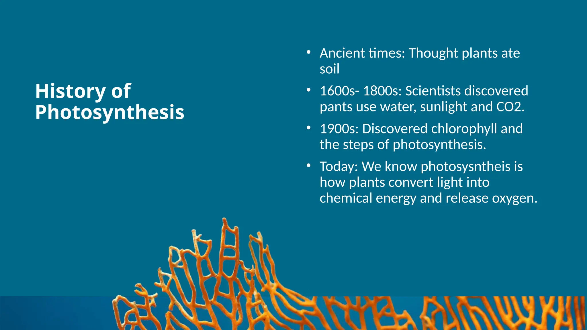 Photosynthesis (light and dark phase). pptx | PPTX