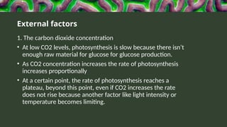 Photosynthesis (light and dark phase). pptx | PPTX