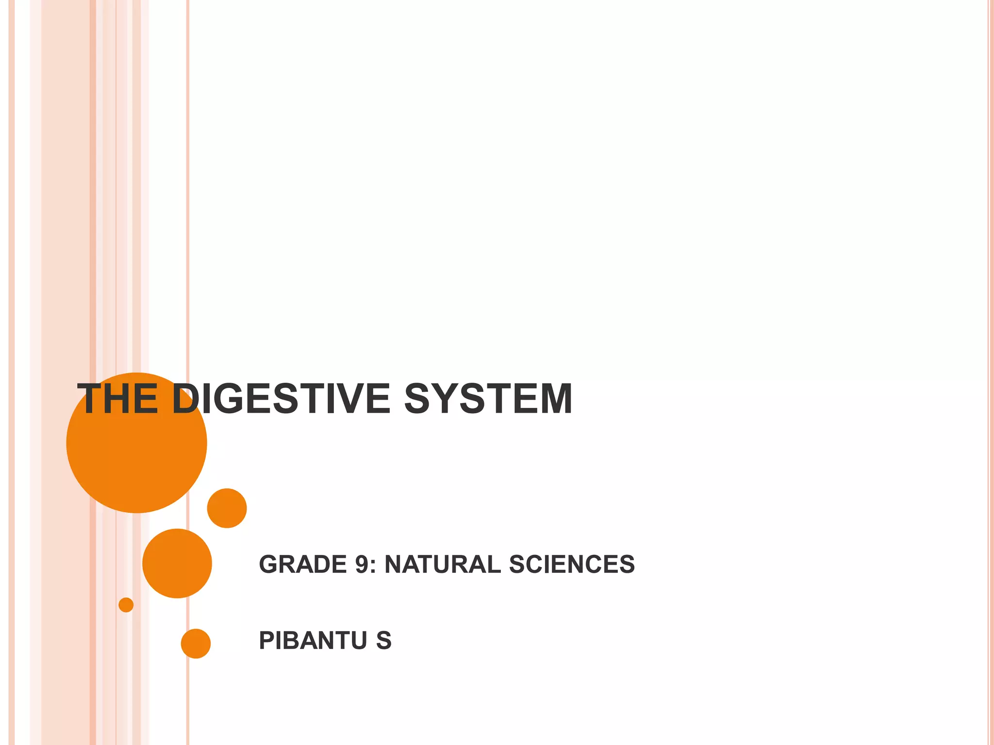 The Digestive System by PIBANTU | PPTX