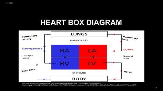 TST 3B POWERPOINT PRESENTATION - Slideshare.pptx