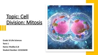Life Sciences: Mitosis. Presentation TST3B | PPTX