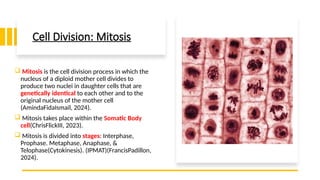 Life Sciences: Mitosis. Presentation TST3B | PPTX