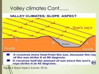 Valley and Urban climates. F.E.T Geography | PDF