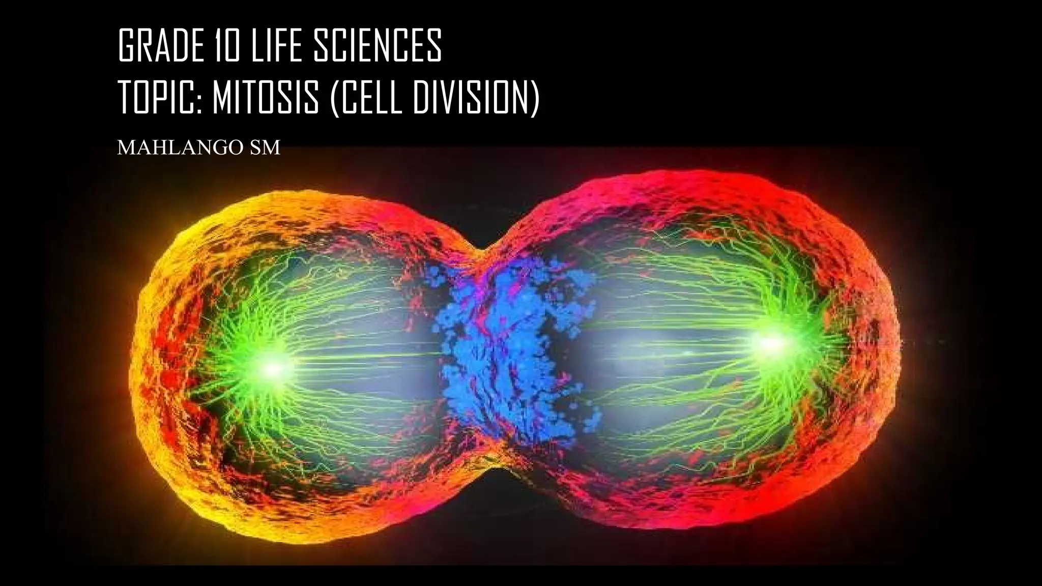 Life Sciences Grade10, Cell Division: Mitosis (and cancer) | PPTX