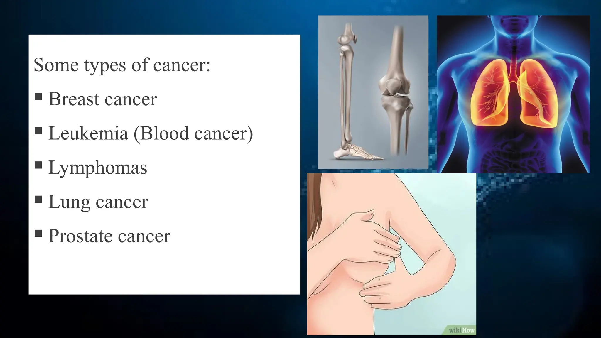 Life Sciences Grade10, Cell Division: Mitosis (and cancer) | PPTX