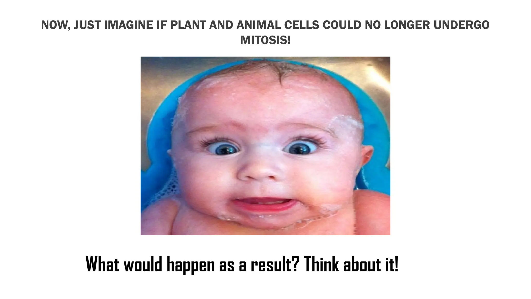 Life Sciences Grade10, Cell Division: Mitosis (and cancer) | PPTX