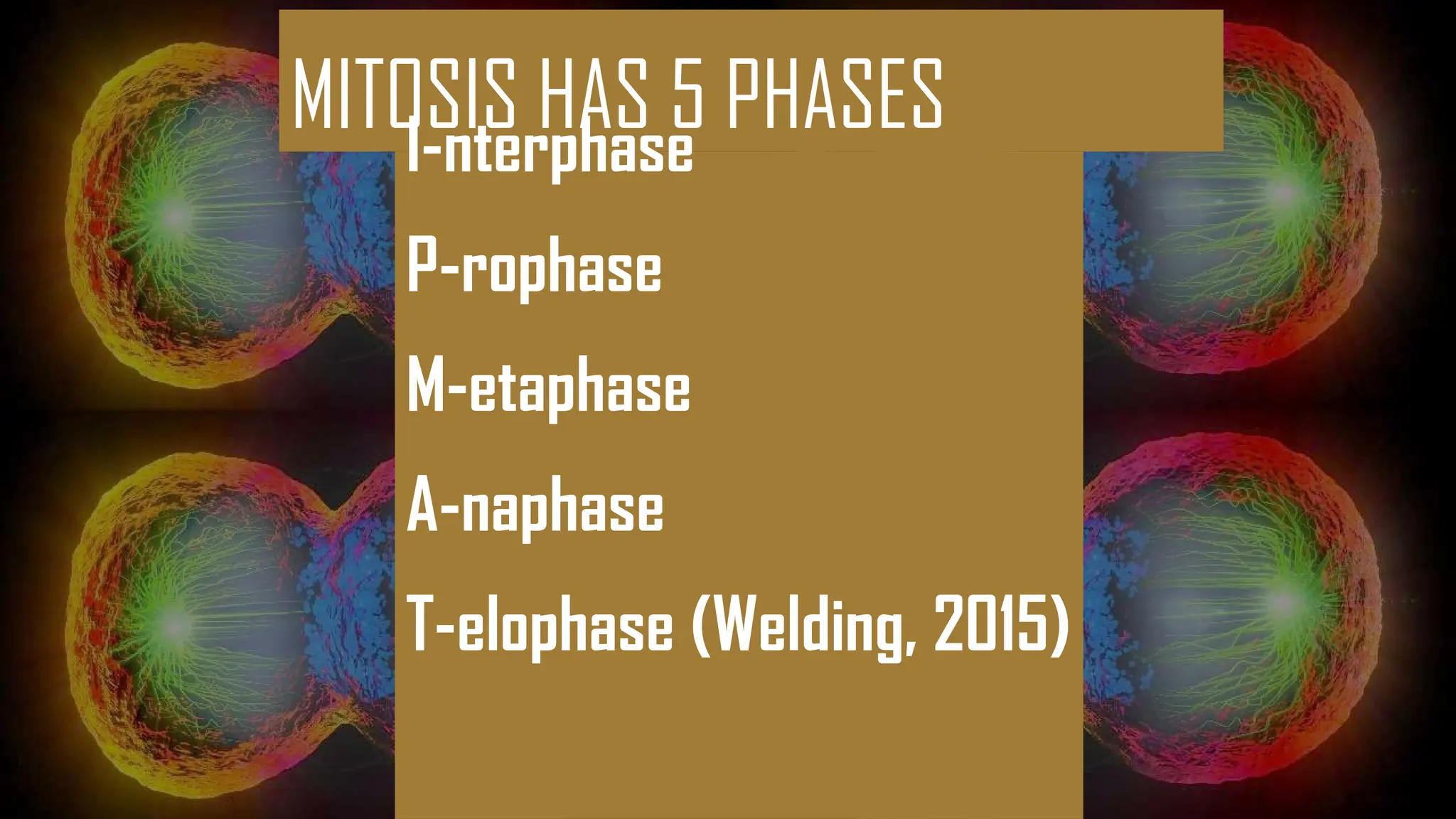 Life Sciences Grade10, Cell Division: Mitosis (and cancer) | PPTX