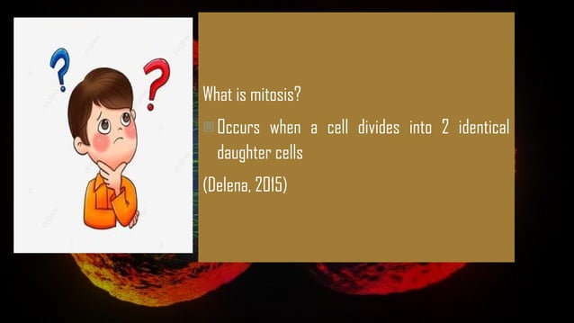 Life Sciences Grade10, Cell Division: Mitosis (and cancer) | PPTX ...