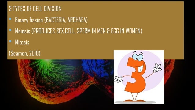 Life Sciences Grade10, Cell Division: Mitosis (and cancer) | PPTX ...