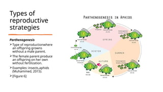 TST CURATION ASSIGNMENT Reproduction in vertebrates | PPT